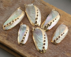 White Abalone Shell w/ Gold Finish 22-27x45-55mm