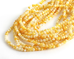 Gold Lip Shell Round 4mm