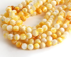 Gold Lip Shell Round 10mm