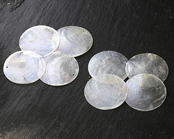 Capiz Shell Large Coin Focal 50mm