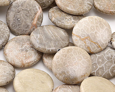 Fossil Jasper Puff Coin 30mm