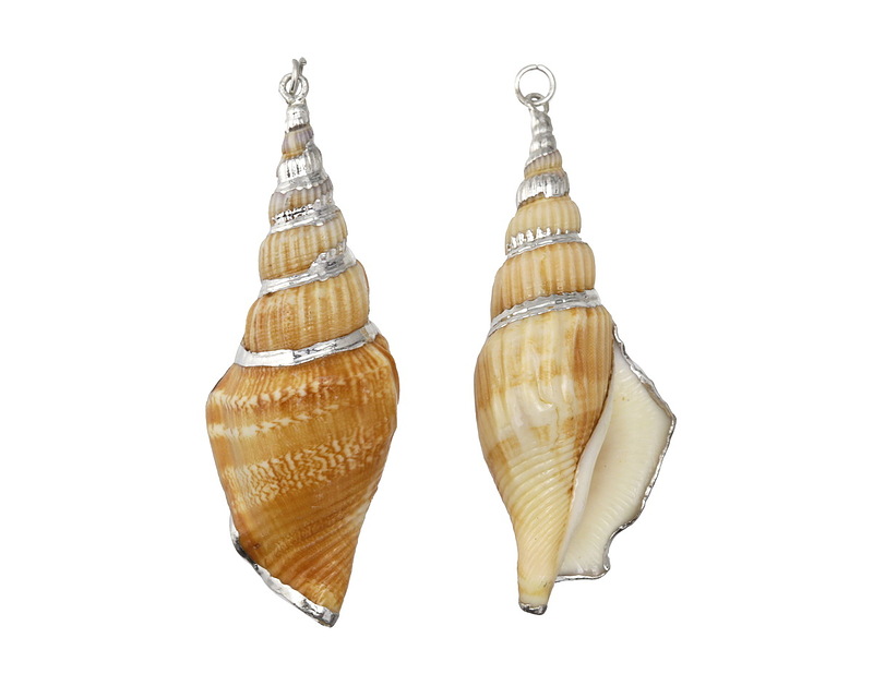Brown Tibia Shell Pendant w/ Silver Finish 22-25x62-78